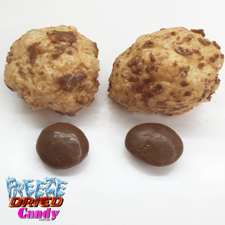 Freeze Dried Every Thing Chocolate – Freeze Dried Candy